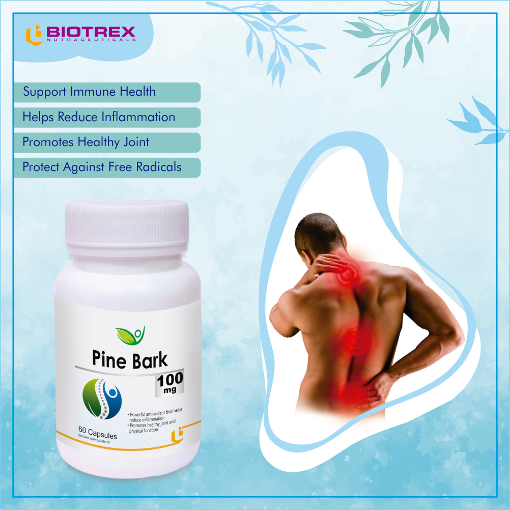 Biotrex Pine Bark 100mg - 60 Capsules – BIOTREX NUTRACEUTICALS