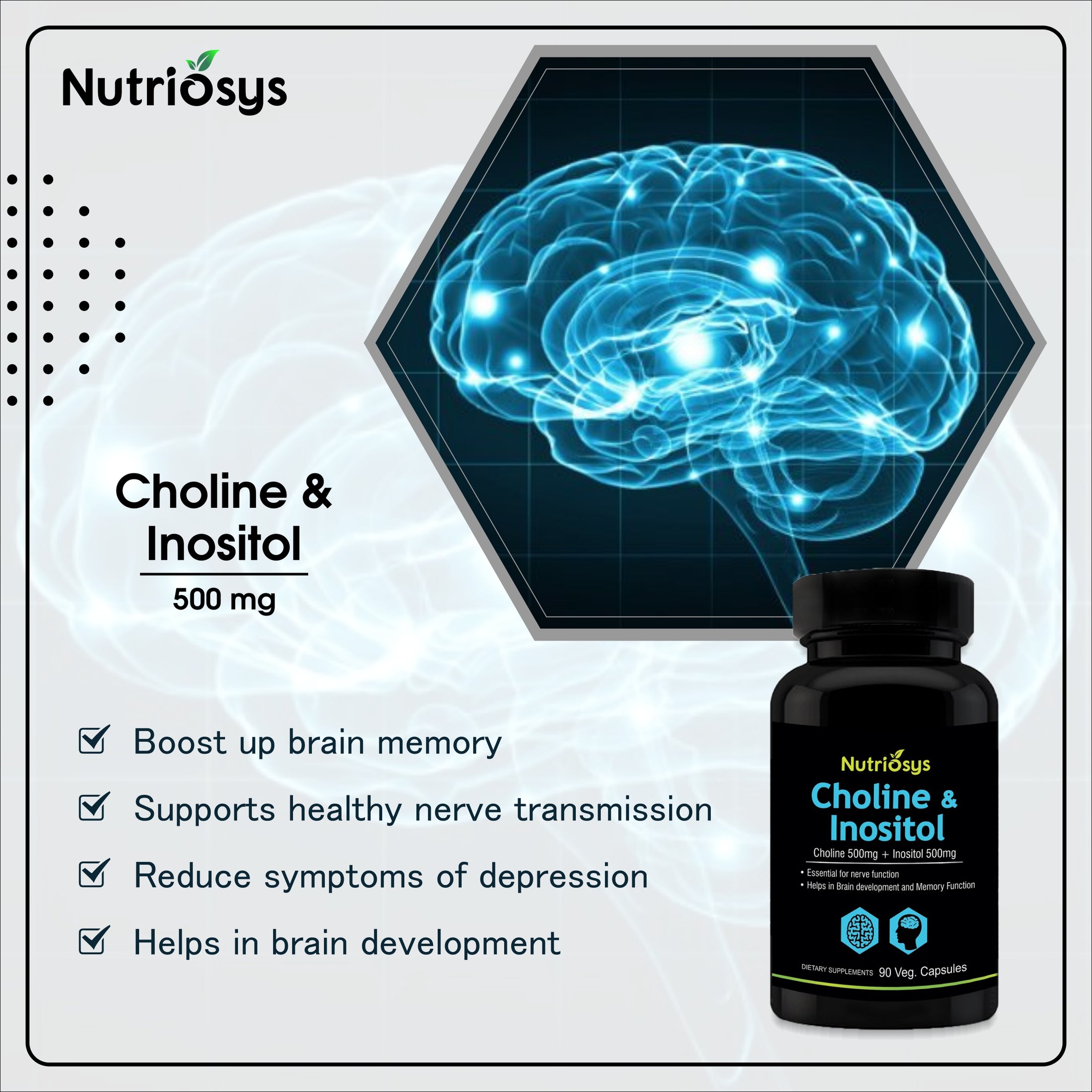 Nutriosys Choline & Inositol 500mg - 90 Capsules – BIOTREX NUTRACEUTICALS