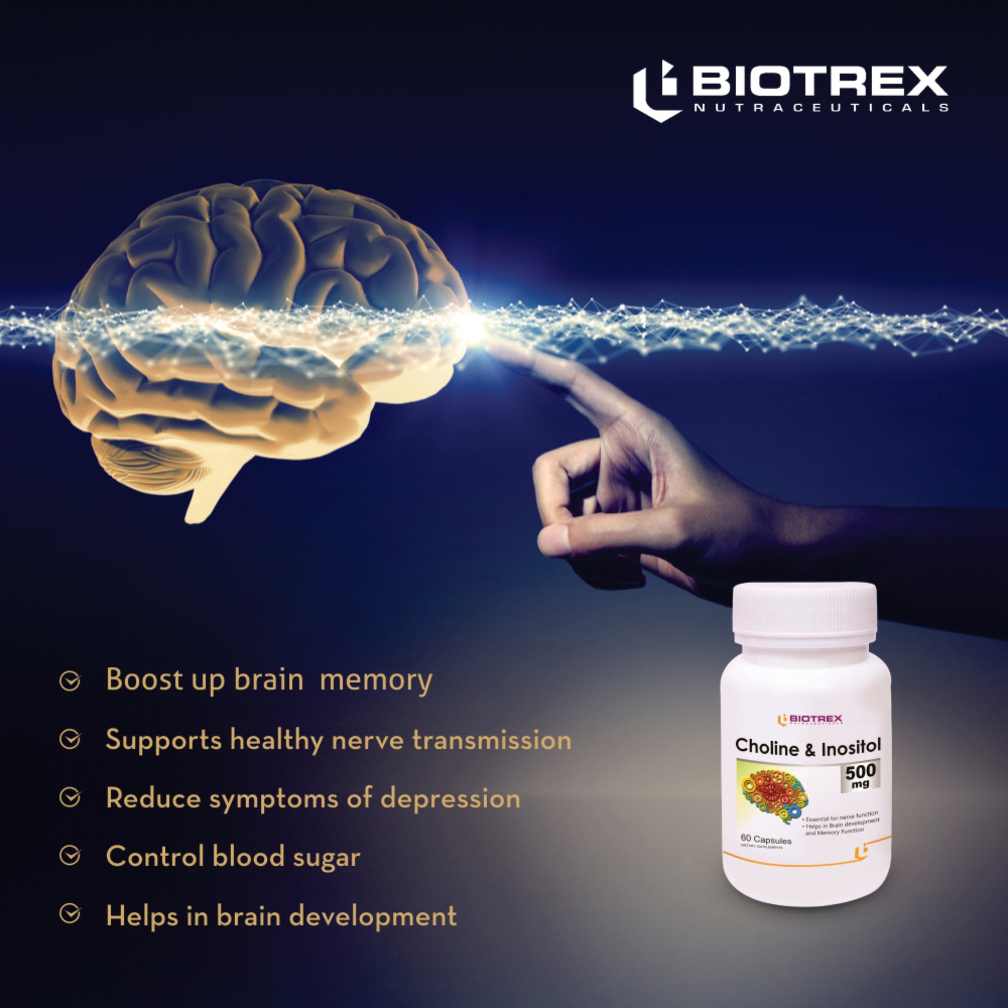 Biotrex Choline & Inositol 500mg - 60 Capsules – BIOTREX NUTRACEUTICALS