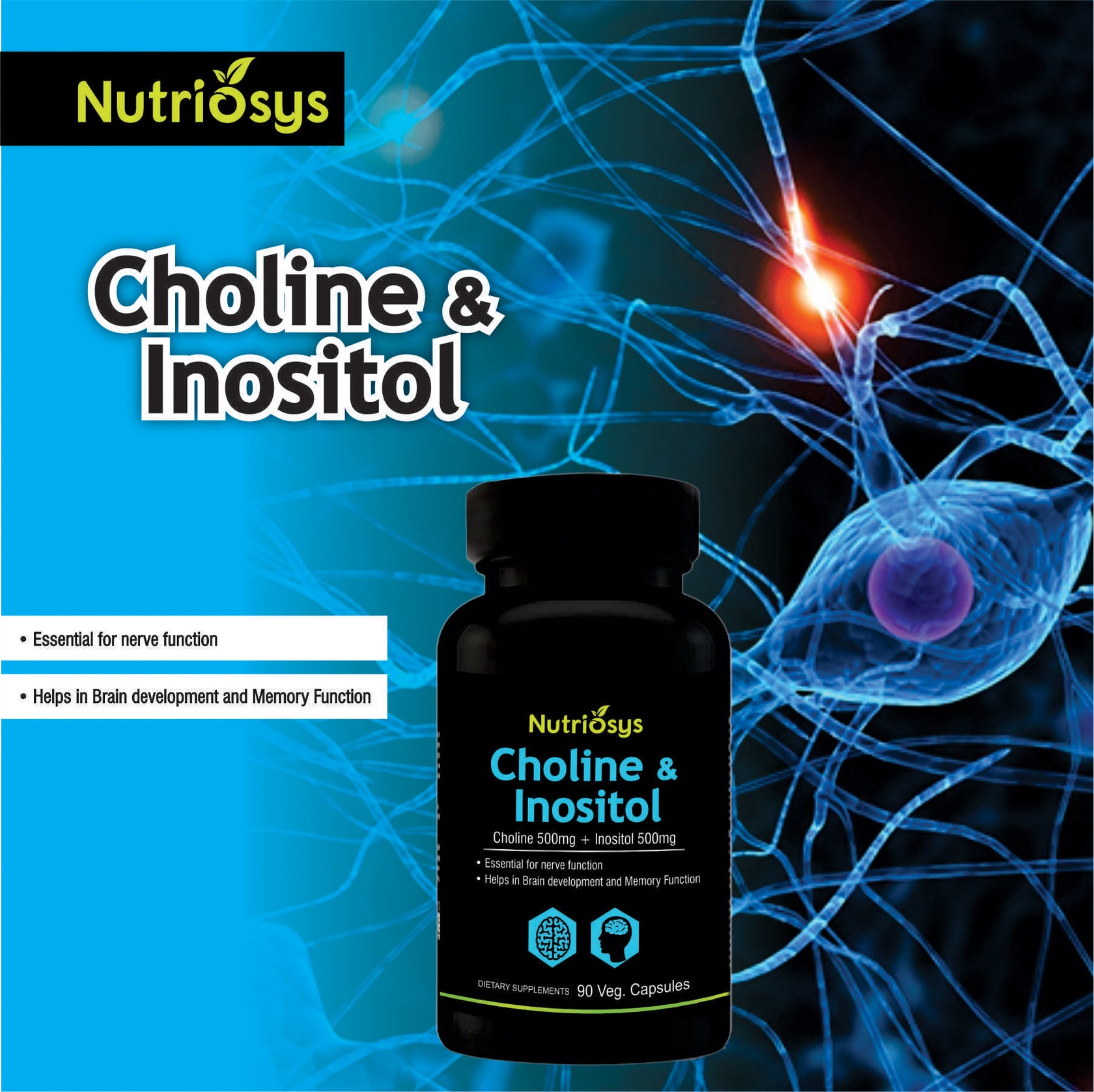 Nutriosys Choline & Inositol 500mg - 90 Capsules – BIOTREX NUTRACEUTICALS